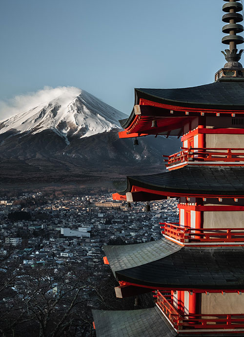 Tokyo - Established Skylights